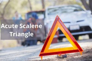 Comprehensive Guide to Acute Scalene Triangle | Total Assignment Help