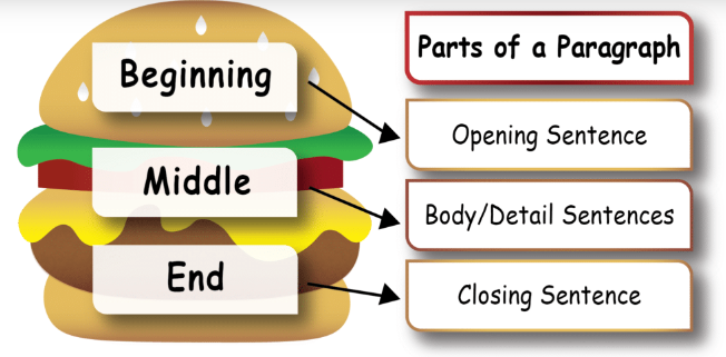 Step-By-Step Guide To Developing An Ideal Paragraph Structure – Total ... Step-By-Step Guide To Developing An Ideal Paragraph Structure – Total ...